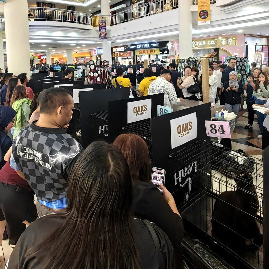 Bintang Megamall
